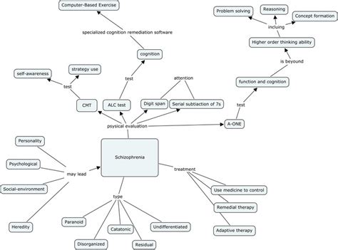 An Example Of Isolated Concept Mapping Download Scientific Diagram