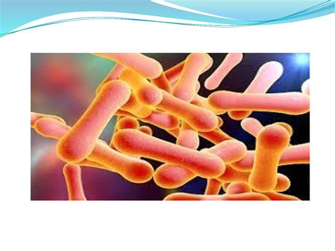 Solution Diphteria Tetanus Botulism Studypool