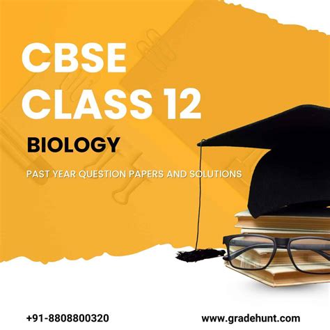 Cbse Class 12 Commerce Subjects Complete Guide For 2026