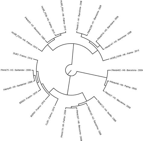 Core Genome Phylogenetic Tree Based On Snp Analysis By The Default Download Scientific Diagram