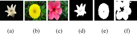 Figure 1 From Classification Of Flower Images Using Clustering Algorithms Semantic Scholar