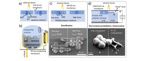 Layer By Layer Beam Writing Tests Of Overlapping Structures In Liquid
