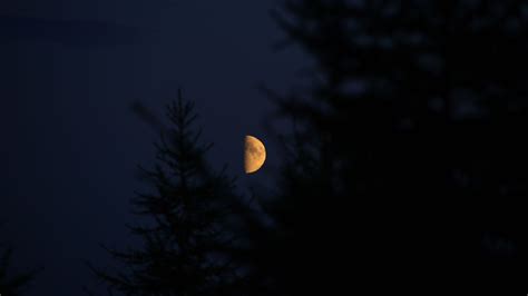 How Could The Bitcoin Blockchain Technology Save The World