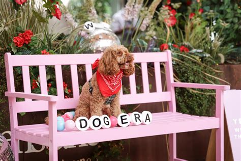 Cockapoo Cafe™ Liverpool