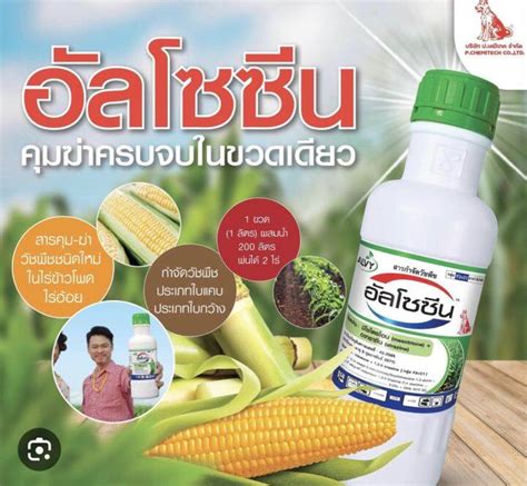 อัลโซซีน 1ลิตร มีโซไตรโอน อะทราซีน ขนาด 1ลิตร คาลารีส เมอร์เทค สารคุม ฆ่าวัชพืชใน ไร่