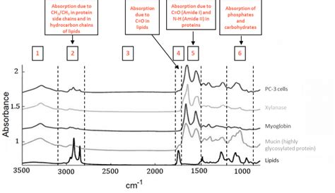 Fourier Transform Infrared Spectroscopy Spectralys Biotech The IR And HDX MS Experts For