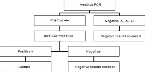 Two Step Methicillin Resistant Staphylococcus Aureus Mrsa Screening Download Scientific