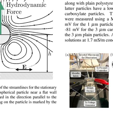 A Photograph Of The Experimental Set Up With The Microfluidic Device Download Scientific