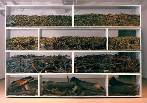 Ecological Aesthetics Artful Tactics For Humans Nature And Politics