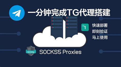 一分钟搭建完成Socks 代理 哔哩哔哩