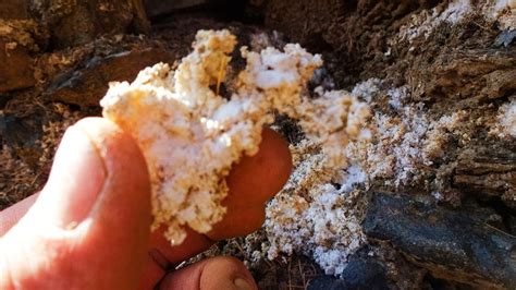 Забайкальское каменное масло - YouTube