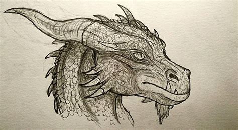 The Inheritance Cycle Saphira Old Sketch By Leyablackalpha On