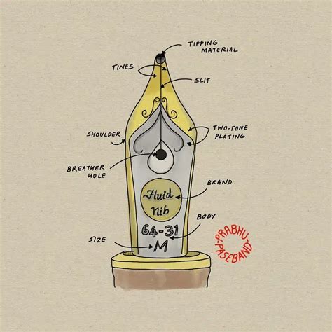 Get To Know Fountain Pen Nibs A Guide To Sizes Styles And Impact On Writing Longhand Collective