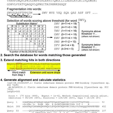 Steps In The Blast Algorithm Download Scientific Diagram