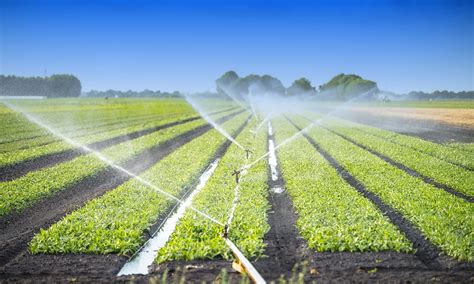Irrigation Systems