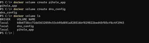 How To Set Up Pi Hole In Docker Container