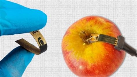 University Of São Paulo Develops Sensor That Can Detect Traces Of Pesticides In Fruit And