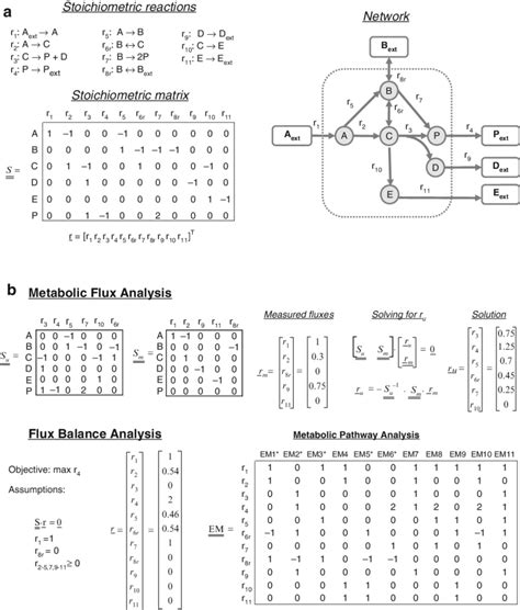 1 Tools For Metabolic Network Analysis A Problem Statement The Download Scientific