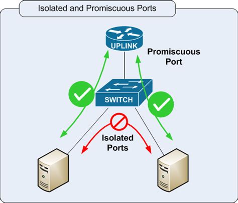 Native VLAN And Private VLAN Lab Network System Security