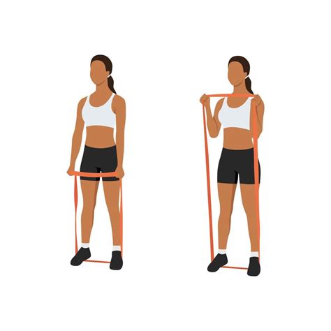 Resistance Band Bicep Curls Resistance Band Back And Biceps Pull