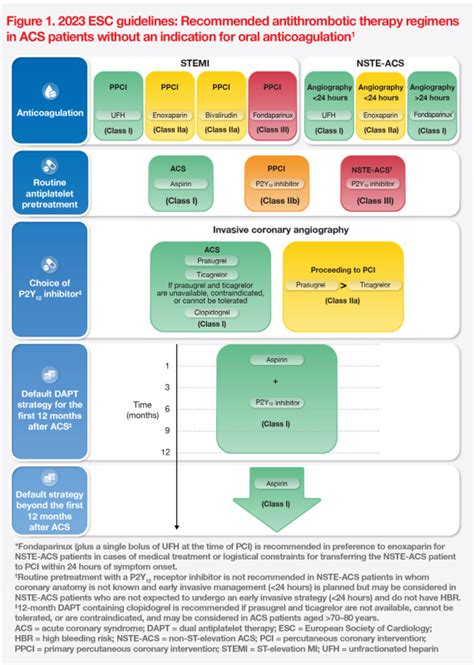 Abbreviated Dapt Strategy In An Nste Acs Patient Multidisciplinary Mims Hong Kong