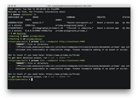 Prisma Client 117 Error When Setting Up · Issue 3078 · Prisma