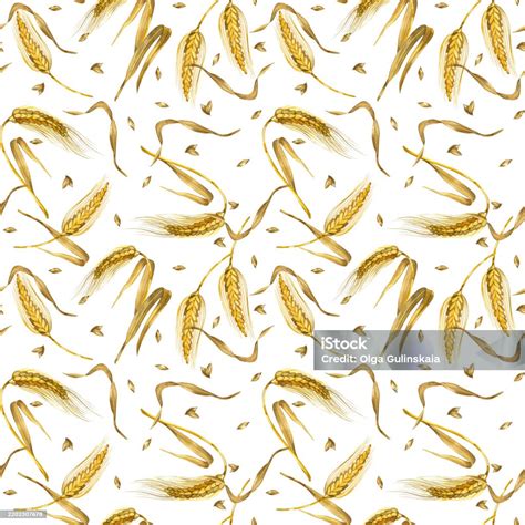 완벽 한 수채화 패턴입니다 밀 귀 잘 익은 밀 곡물 수채화로 손으로 그린 및 흰색 배경에 고립되어 있습니다 직물 부엌 직물 스크랩북에 인쇄를 위해 적당한 건강한 식생활에