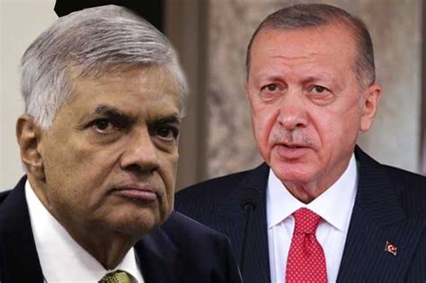 තුර්කි ජනපති සහ ජනපති රනිල් වික්‍රමසිංහ අතර සාකච්ඡාවක්