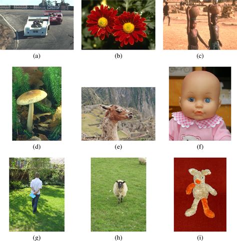 Figure 2 From Simple Interactive Image Segmentation Using Label