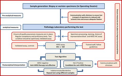 Updated Uk Recommendations For Her2 Assessment In Breast Cancer