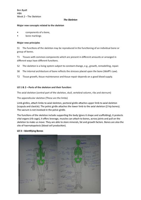 Lecture Notes Lecture Week HBA Week The Skeleton The Skeleton Major New Concepts