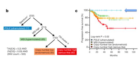 Genomic Classification Flashcards Quizlet