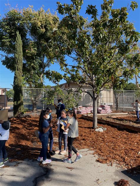 Our Schools — Garden School Foundation