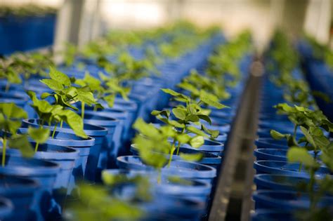 What Inspired Me To Become A Scientist And Why I Think More Of Us