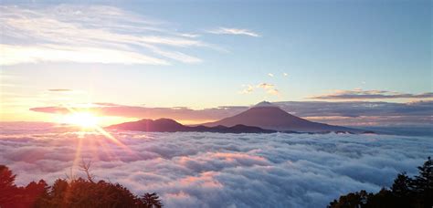 Waca Web Analytics Consultants Association Web Analytics Certified