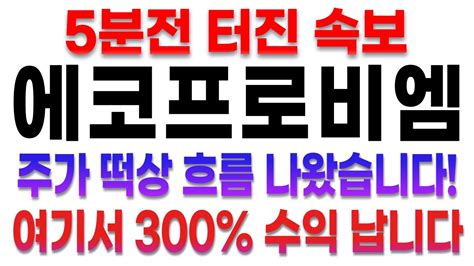 에코프로비엠 에코프로비엠주가 에코프로비엠주가전망 에코프로비엠전망 에코프로비엠분석 에코프로비엠목표가 에코프로비엠대응