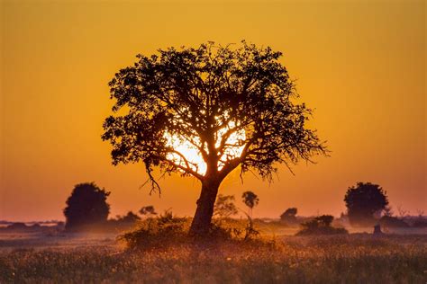 ボツワナの夕日 アフリカの風景 Beautiful 世界の絶景 美しい景色