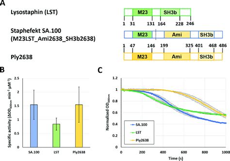 Modular Architectures And Lytic Activities Of Staphylococcal Phage Download Scientific Diagram