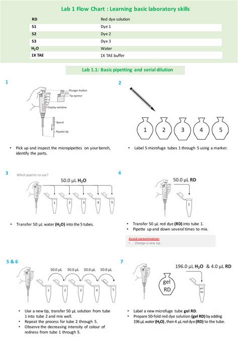 PDF Lab 1 Flow Chart Learning Basic Laboratory Skills DOKUMEN TIPS