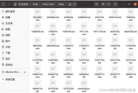 基于brat对数据集txt文件进行标注构造ann文件brat数据标注 Csdn博客