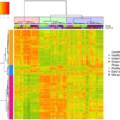 Heatmap And Hierarchical Clustering Of Gene Expression Levels In