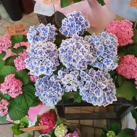 Sean Sean0715 • Threads Say More