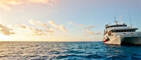 케언즈 그레이트 베리어 리프 크루즈 줌줌투어