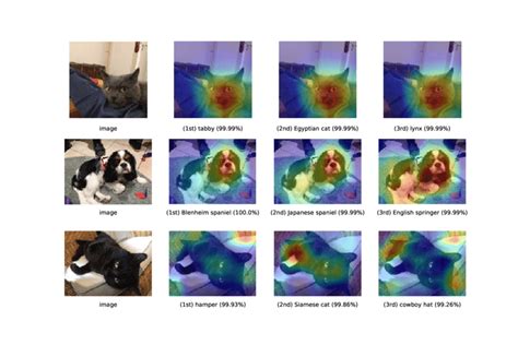 17 Class Activation Maps Cam To Visually Display Model Attention Download Scientific