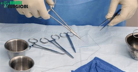 How To Recognize These 8 Important Instruments In A Typical Neuter Spay Pack Hasni Surgical