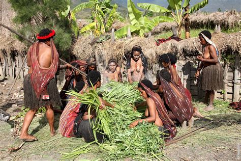 The Dani Pepople A Closer Look At The Unique Diversity Of Papua Tribes