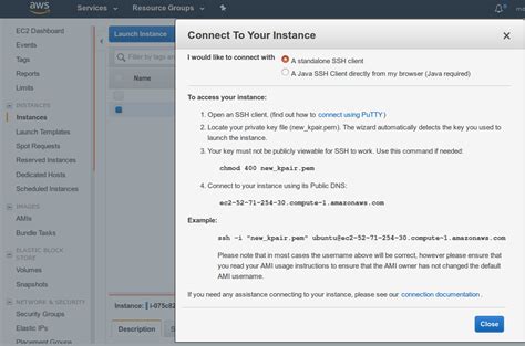 Headless Web Scrapper Bot In Python And Requests On Amazon Ec2 With