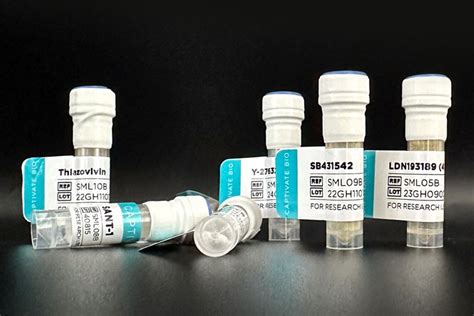 Small Molecules Stem Cell Research Captivate Bio