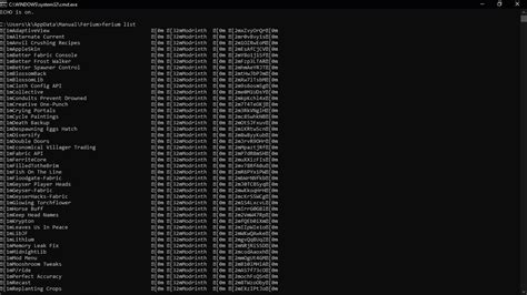 strange characters in text output · issue 295 · gorilla devs ferium