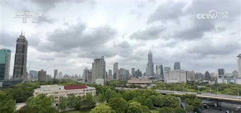 餐饮市场持续升温 市郊特色民宿假期预订火热新闻频道央视网